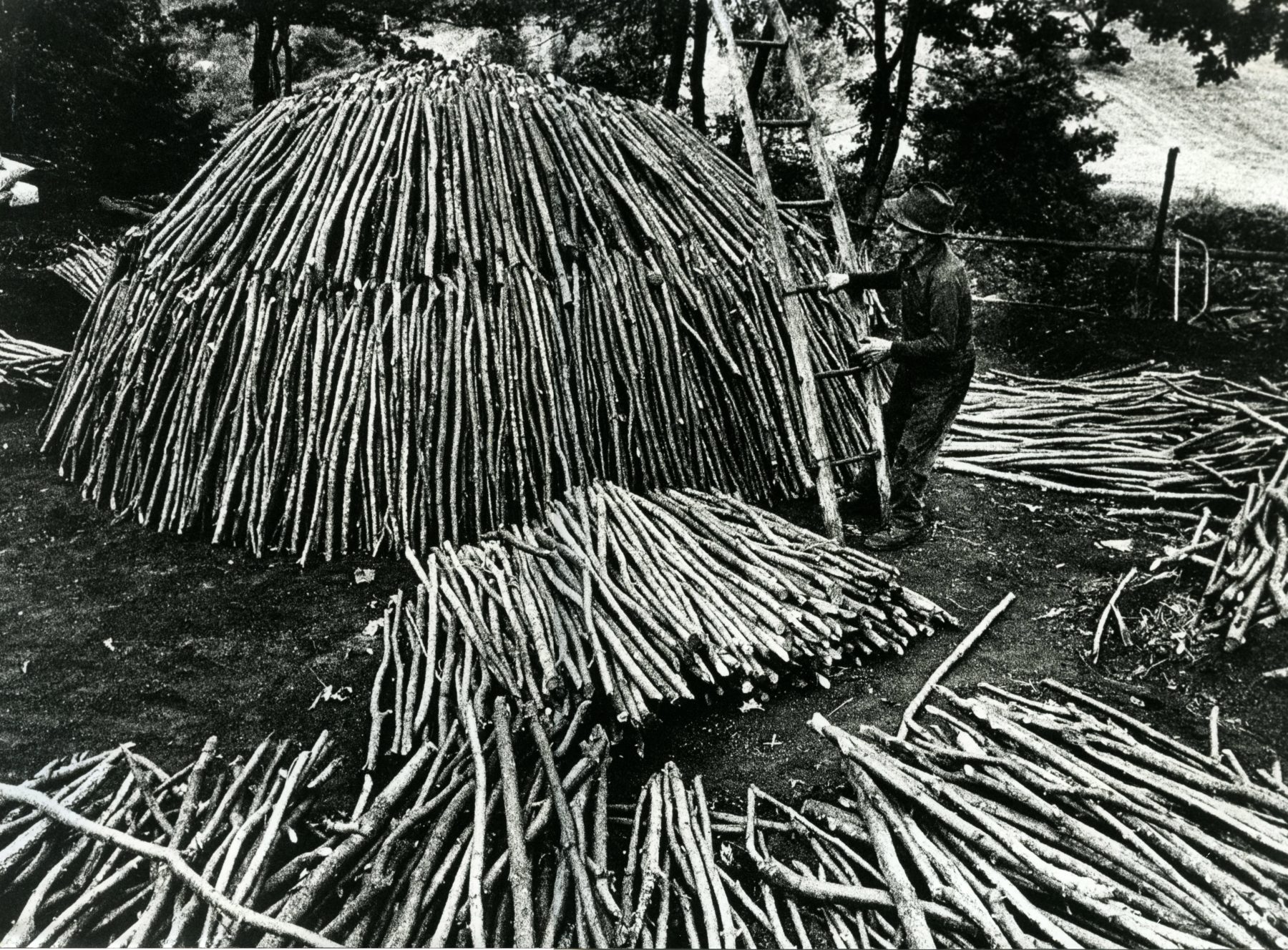 Il carbonaio - Popoli del Parco